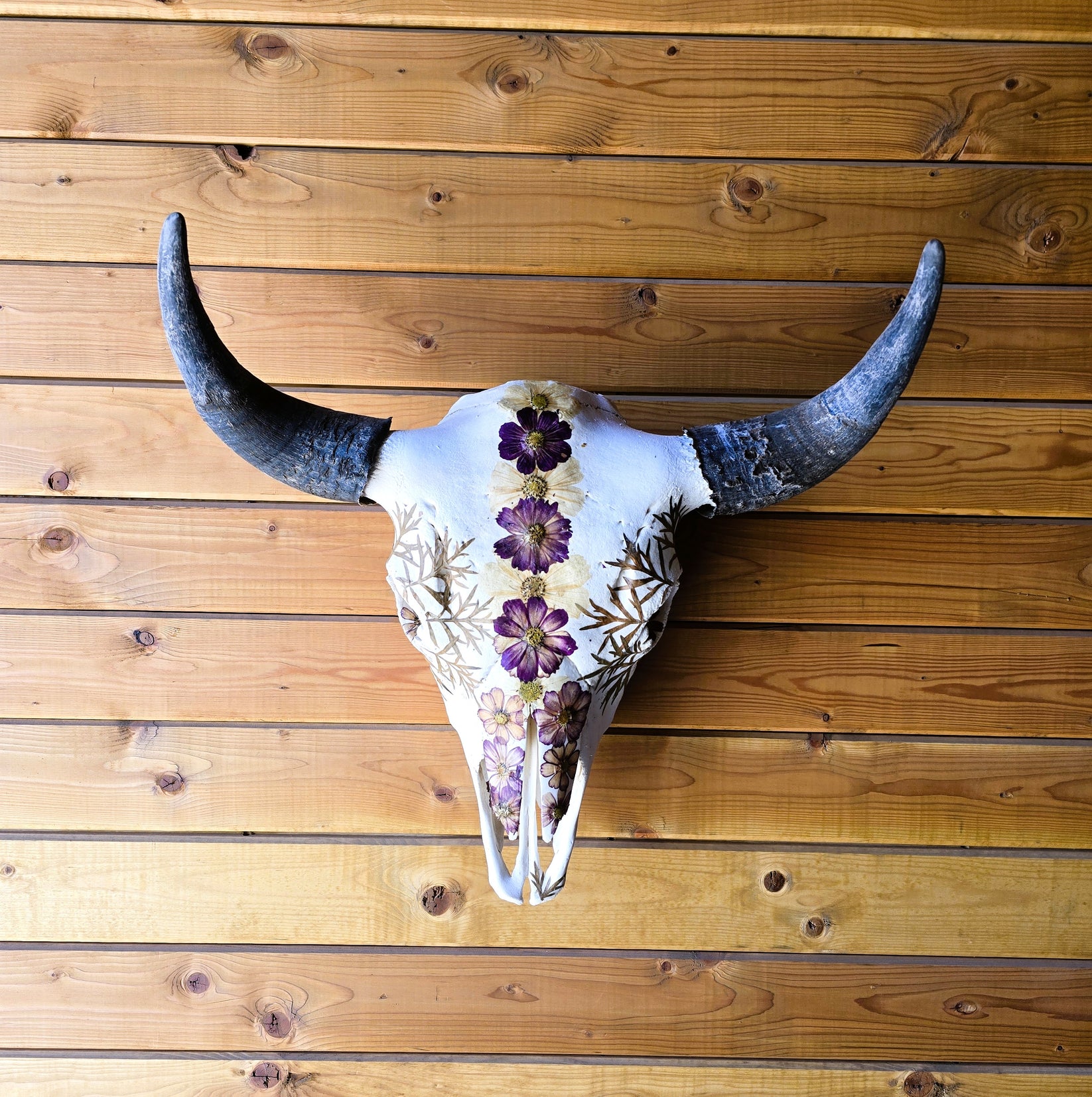 Phoenix - Buffalo Skull - RudyBlu