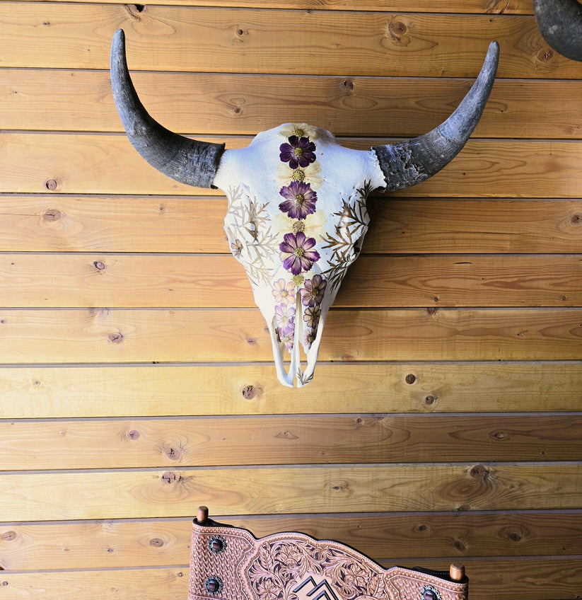 Phoenix - Buffalo Skull - RudyBlu